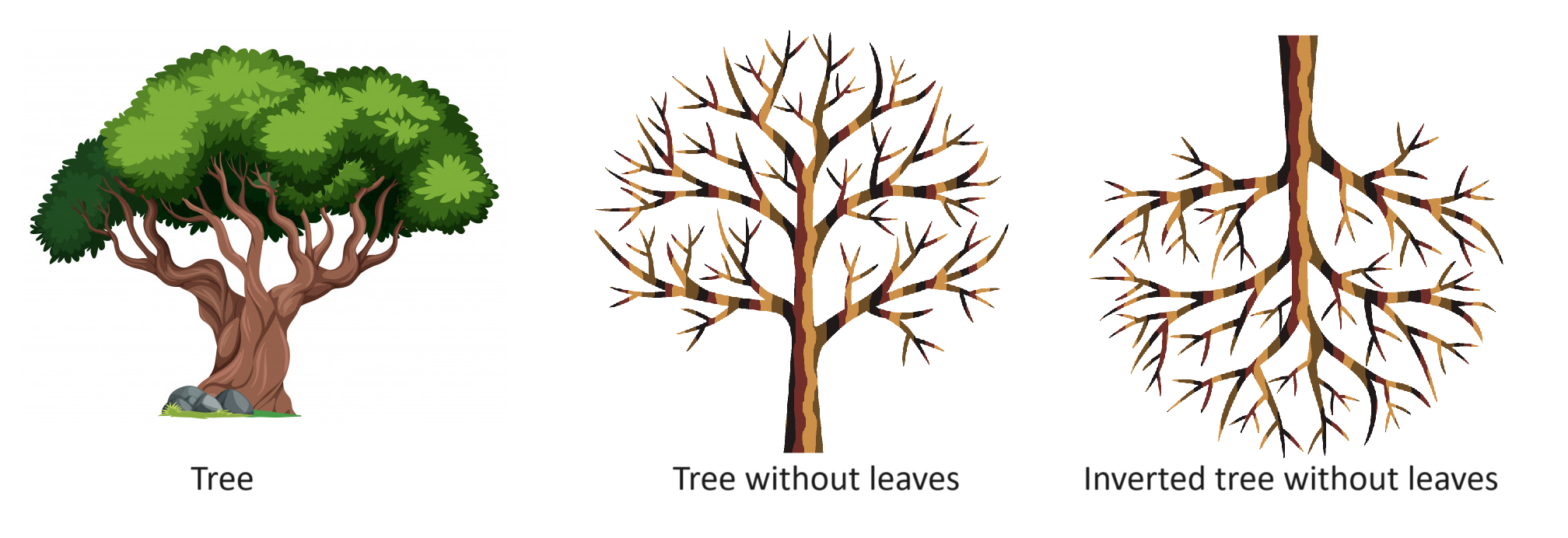 Distributional regression trees and random forests